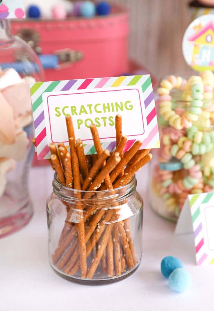 22 Cat Birthday Party Ideas for Kids - Lady Celebrations