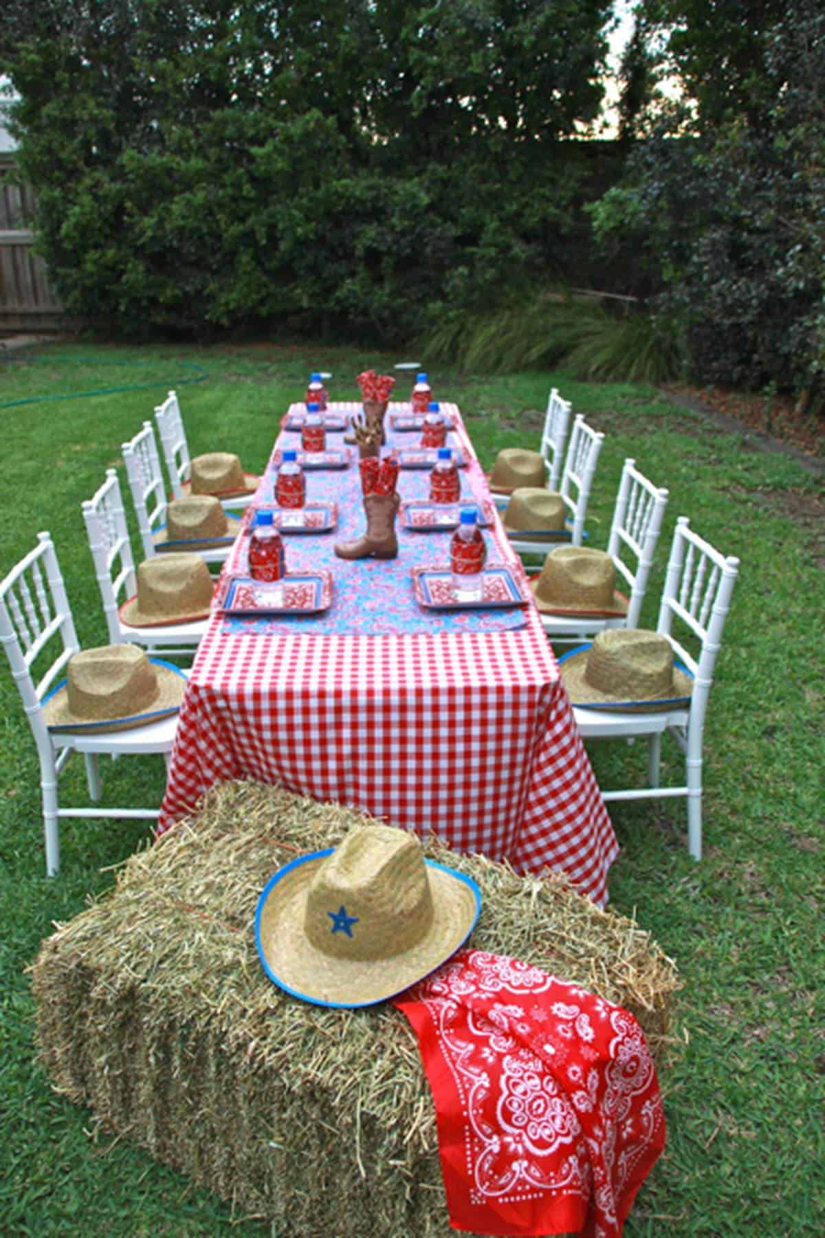 30 Wild West Birthday Party Ideas For Kids - Lady Celebrations