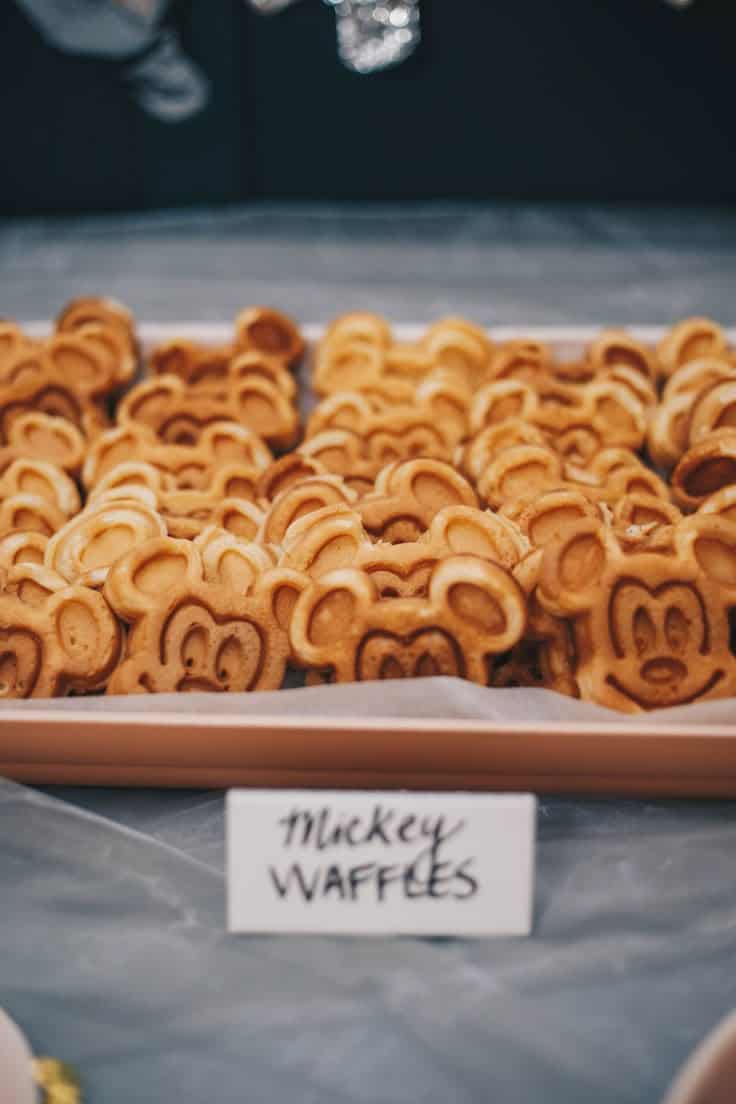 30 Disneyland Birthday Party Ideas - Lady Celebrations