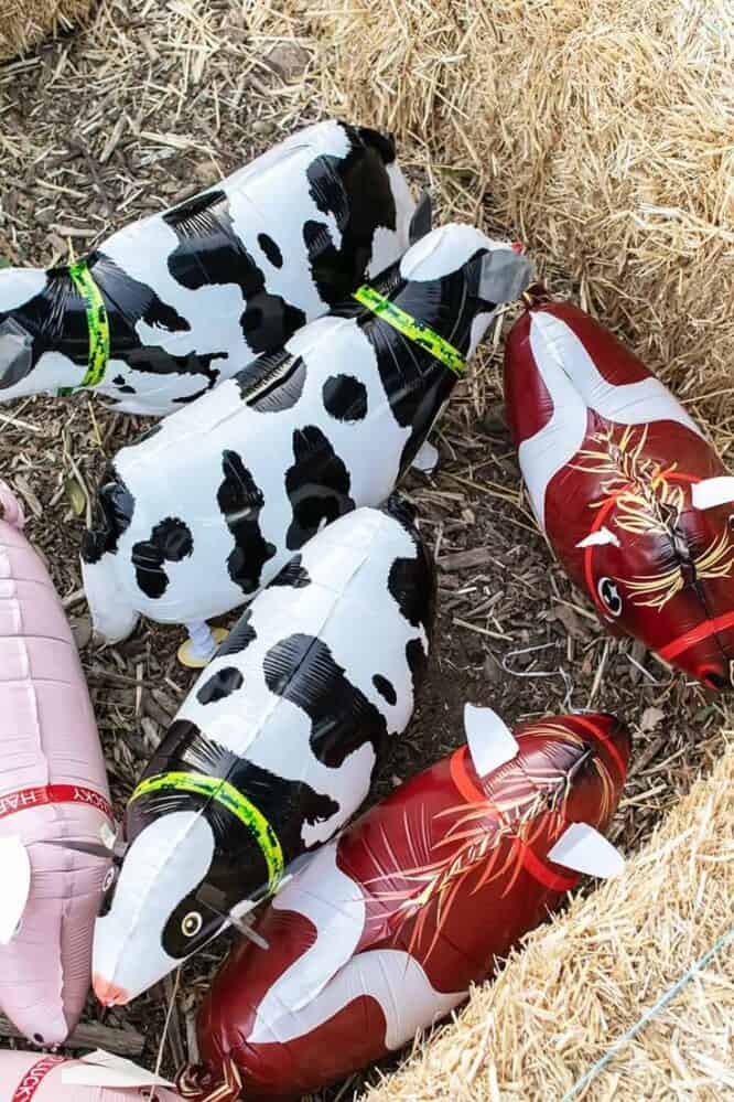 28 Farm Birthday Party Ideas for Kids - Lady Celebrations