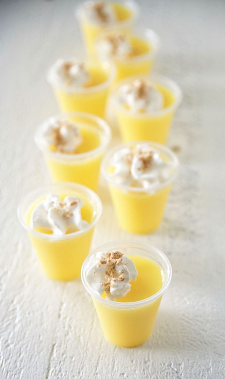 30 Lemon Themed Party Ideas - Lady Celebrations