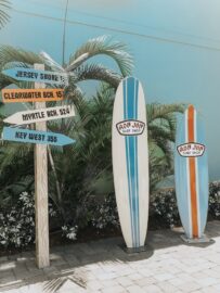30 Surfing Party Ideas For Adults - Lady Celebrations