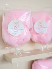 16 Pink Sweet 16 Birthday Party Ideas - Lady Celebrations
