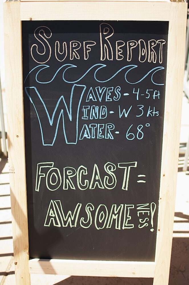 30 Surfing Party Ideas For Adults - Lady Celebrations