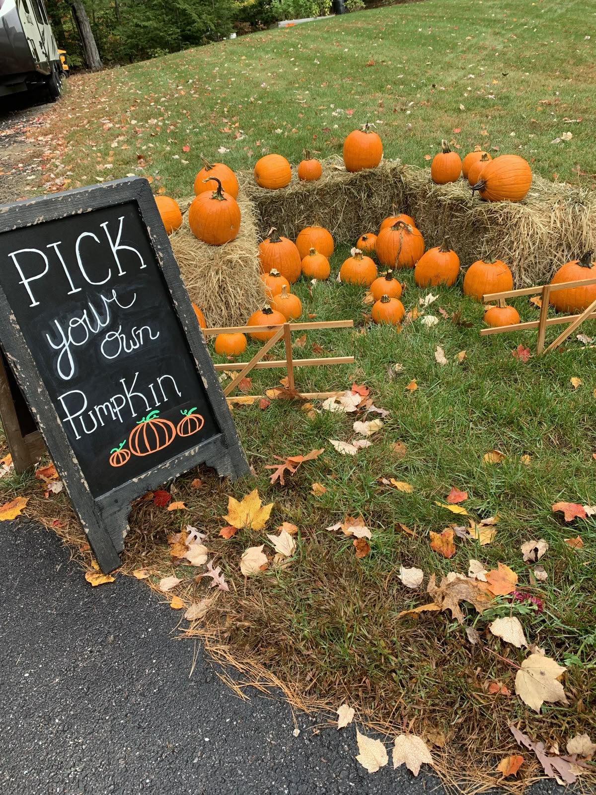 The Big List of 25 Halloween Party Themes for Kids - Lady Celebrations