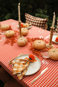 16 Aesthetic Plaid Fall Party Ideas - Lady Celebrations